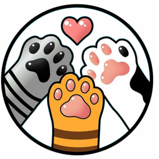 DD The Cat – walkabout